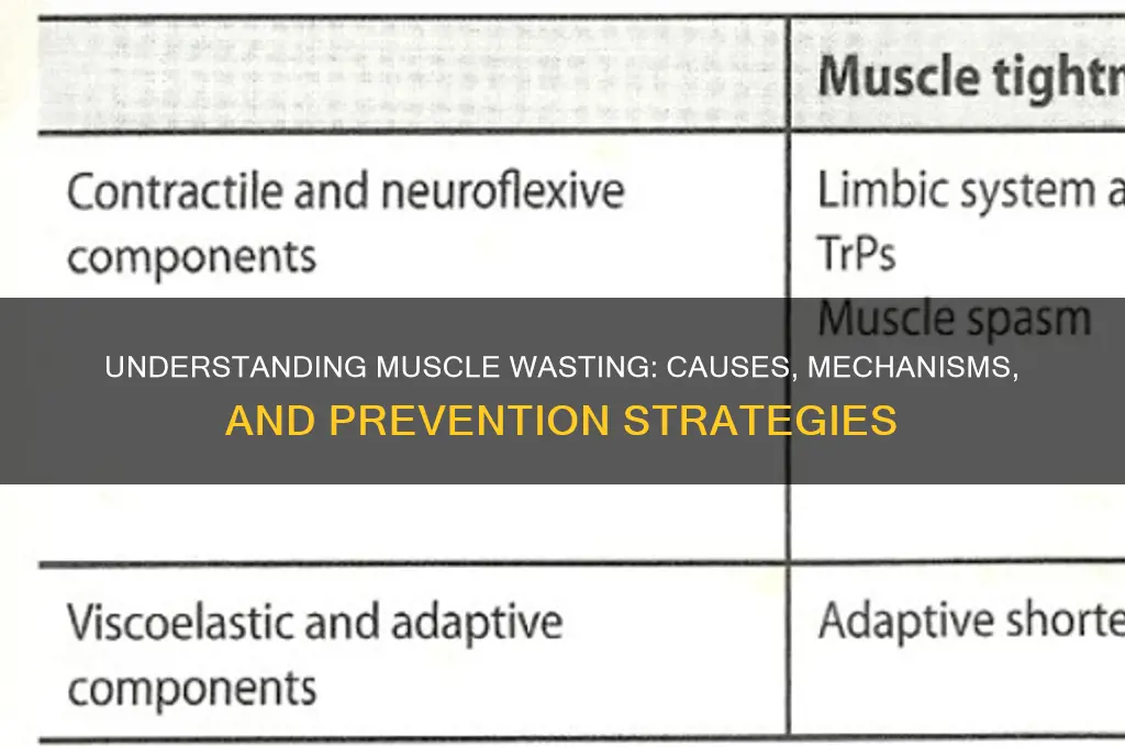 Understanding Muscle Wasting: Causes, Mechanisms, And Prevention ...