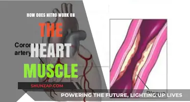 Understanding Muscle Tension: Causes, Effects, And Relief Strategies ...