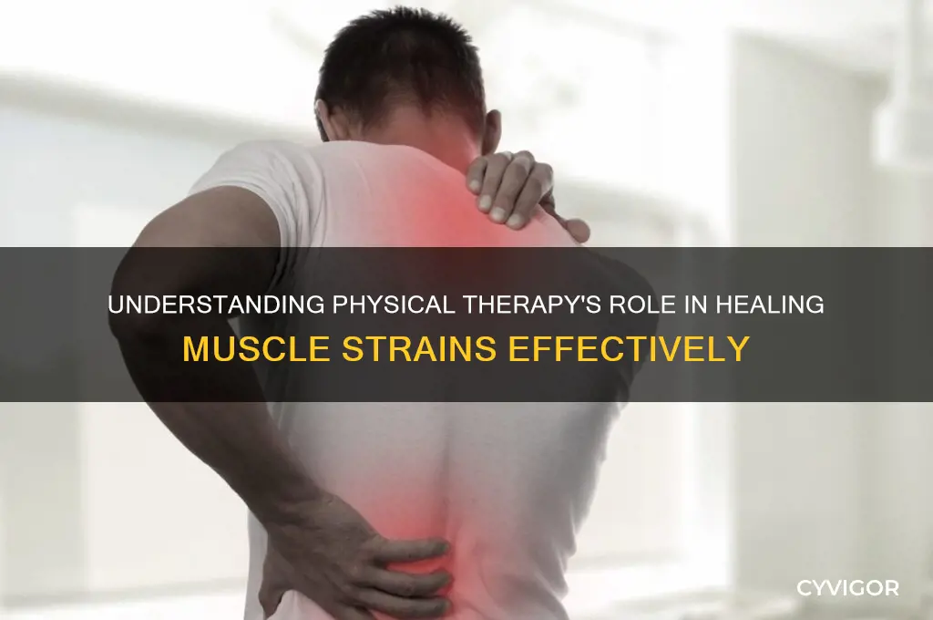 Understanding Physical Therapy's Role In Healing Muscle Strains ...