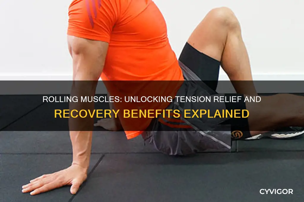 Rolling Muscles: Unlocking Tension Relief And Recovery Benefits ...