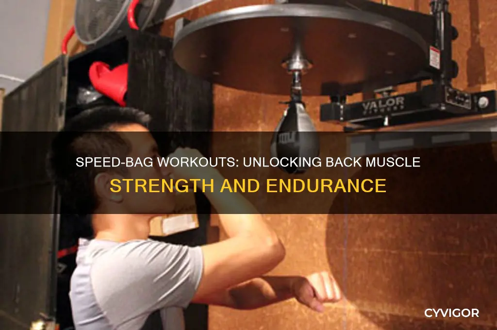 Speed-Bag Workouts: Unlocking Back Muscle Strength And Endurance | CyVigor