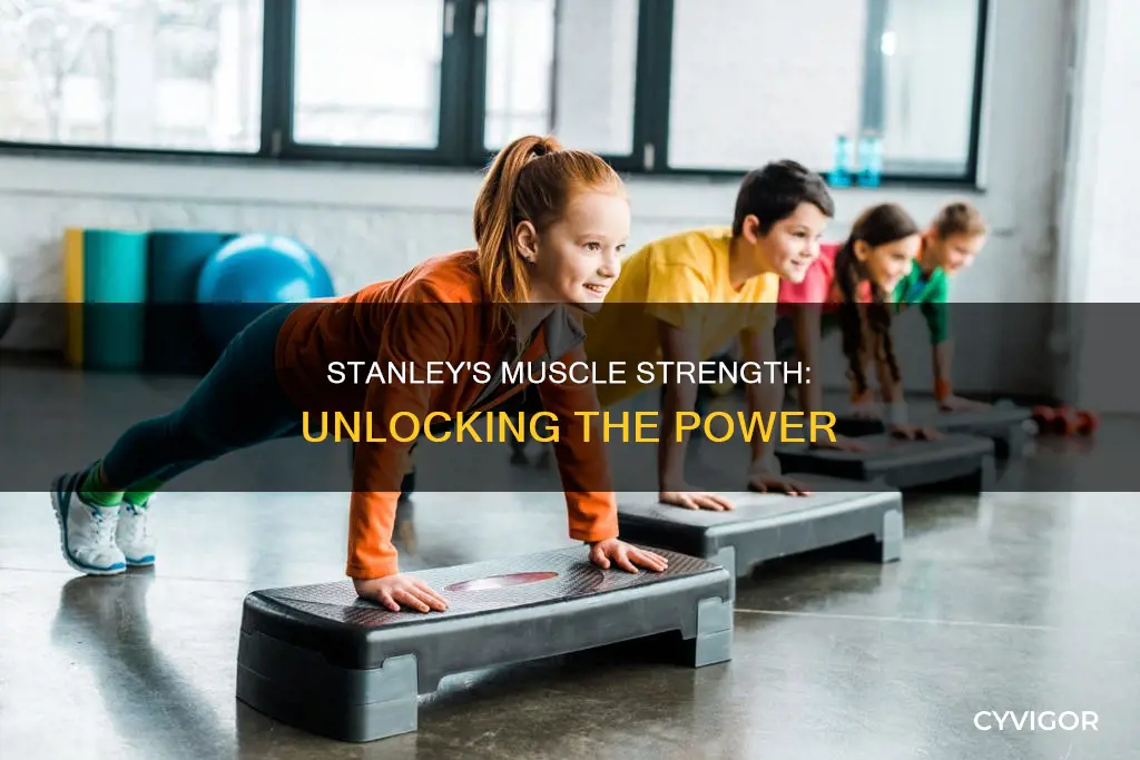 Stanley's Muscle Strength: Unlocking The Power | CyVigor