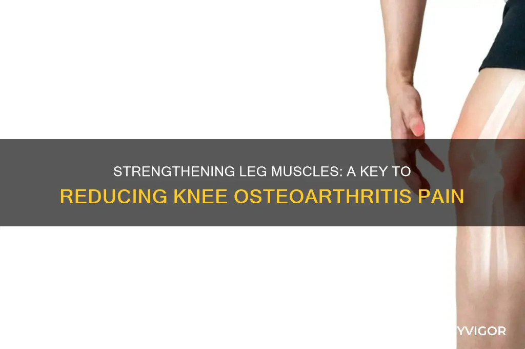 Strengthening Leg Muscles: A Key To Reducing Knee Osteoarthritis Pain ...