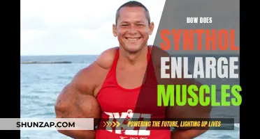 Muscle Mass And Bmi: What's The Real Effect? | CyVigor