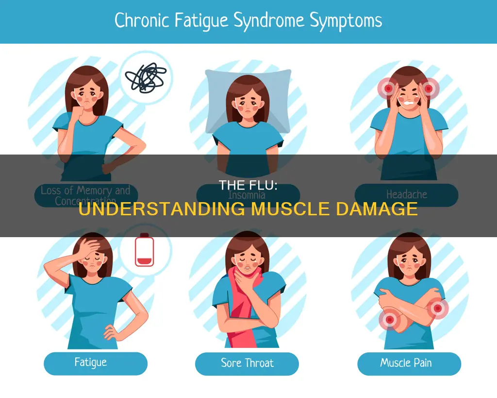 The Flu: Understanding Muscle Damage | CyVigor
