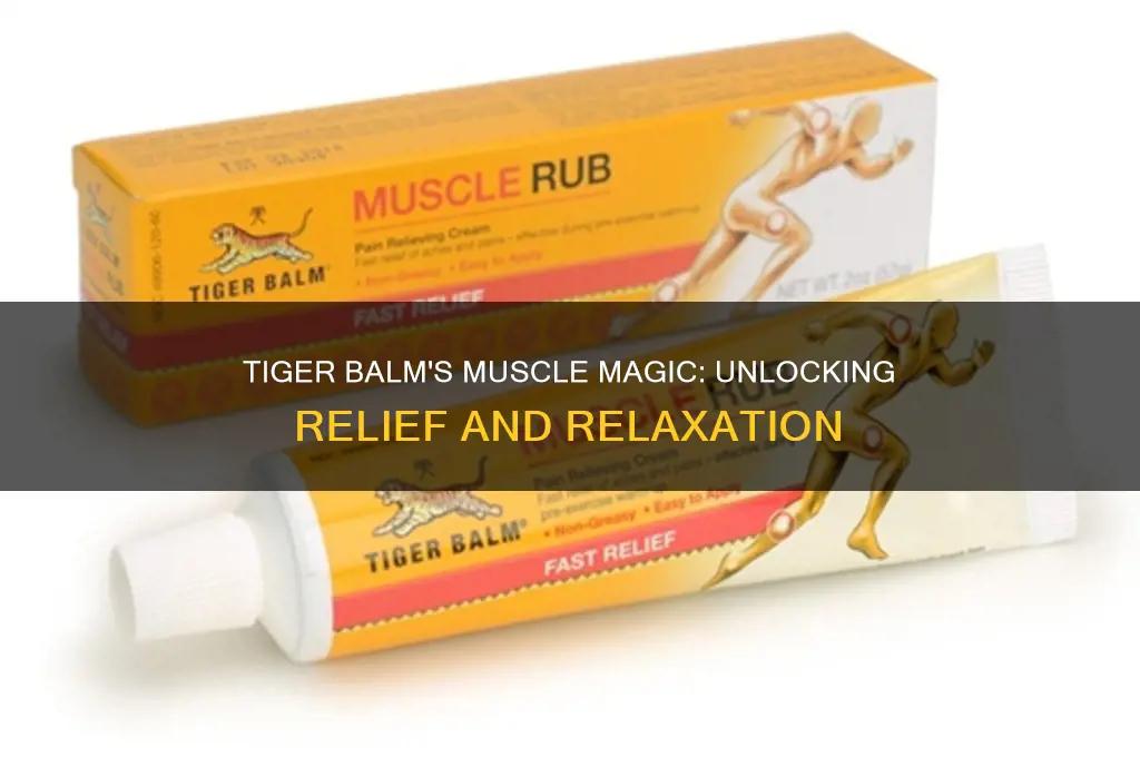 Tiger Balm's Muscle Magic: Unlocking Relief And Relaxation | CyVigor