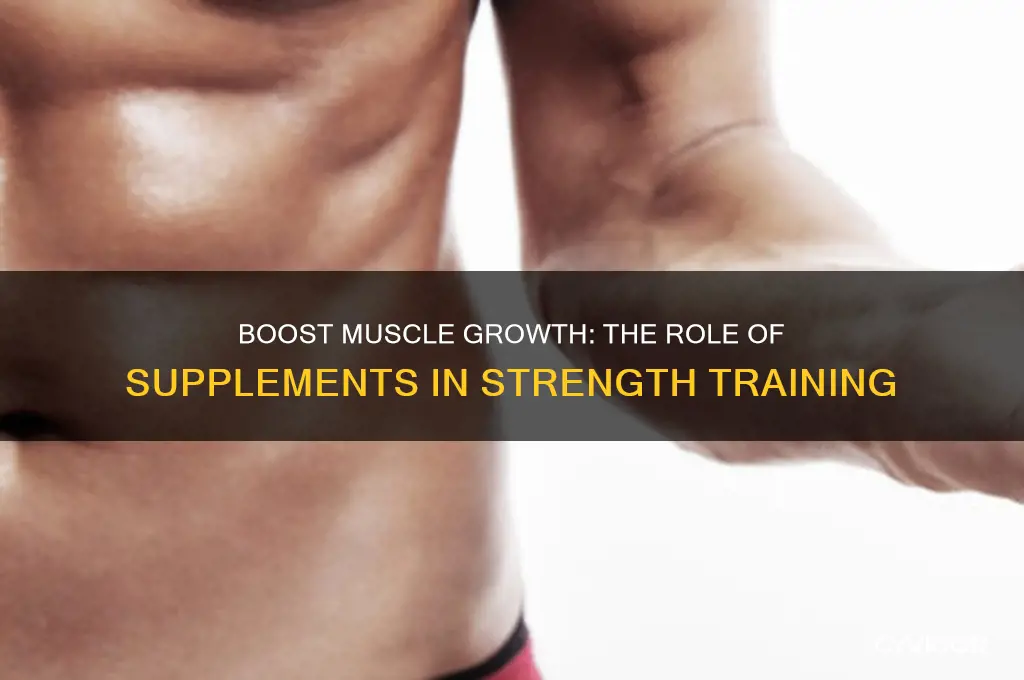 Boost Muscle Growth: The Role Of Supplements In Strength Training | CyVigor
