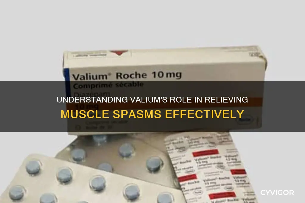 Understanding Valium's Role In Relieving Muscle Spasms Effectively ...