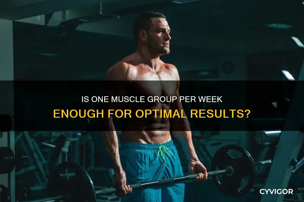 Is One Muscle Group Per Week Enough For Optimal Results? | CyVigor