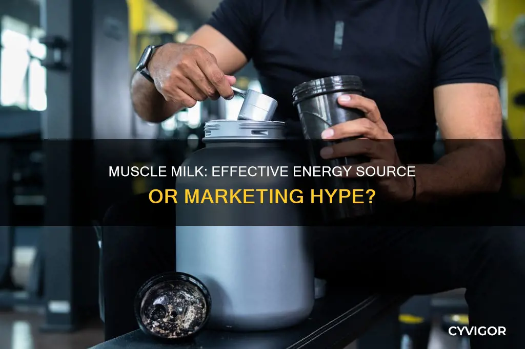 Muscle Milk: Effective Energy Source Or Marketing Hype? | CyVigor