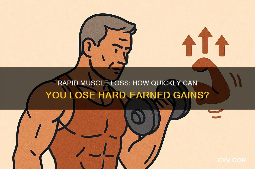 Rapid Muscle Loss: How Quickly Can You Lose Hard-Earned Gains? | CyVigor