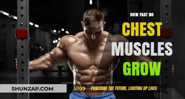 Muscle Growth Timeline: Understanding How Long It Takes To Build ...