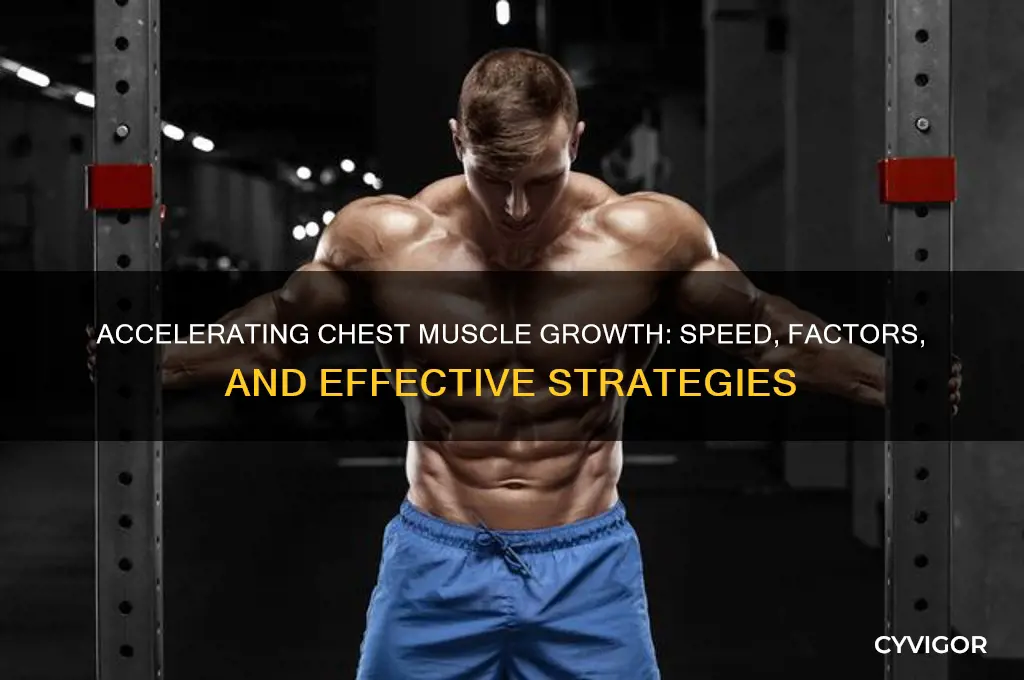 Accelerating Chest Muscle Growth: Speed, Factors, And Effective ...