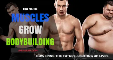 Muscle Growth Timeline: Understanding How Long It Takes To Build ...