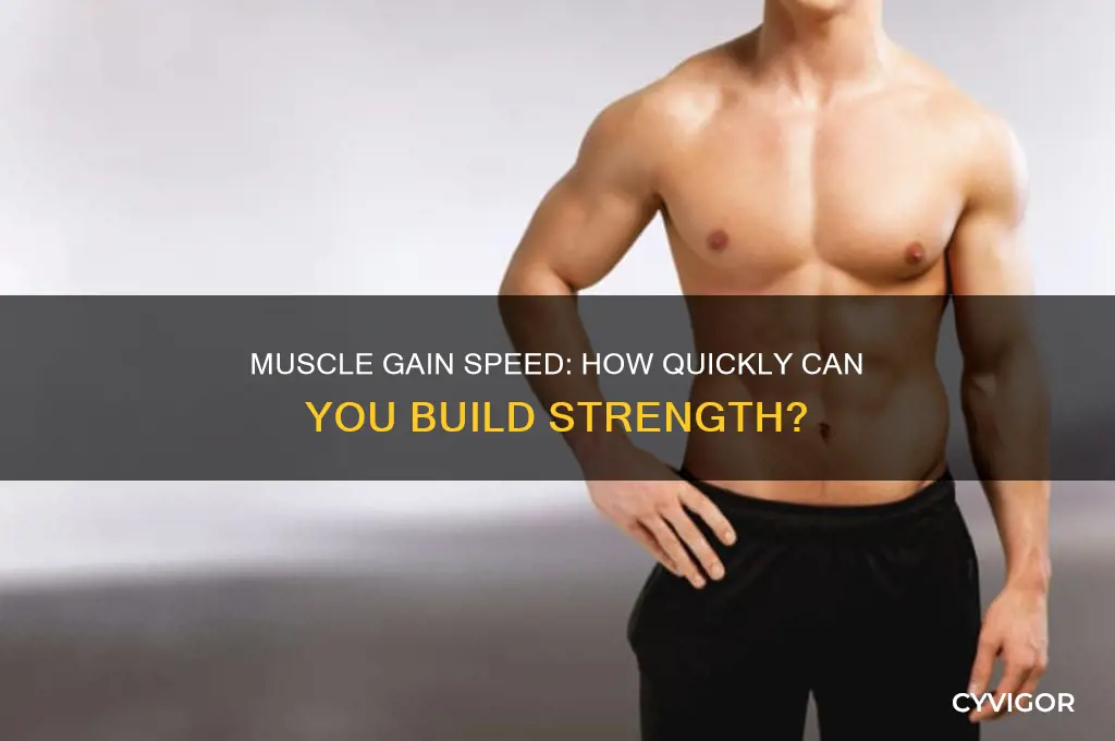 Muscle Gain Speed: How Quickly Can You Build Strength? | CyVigor
