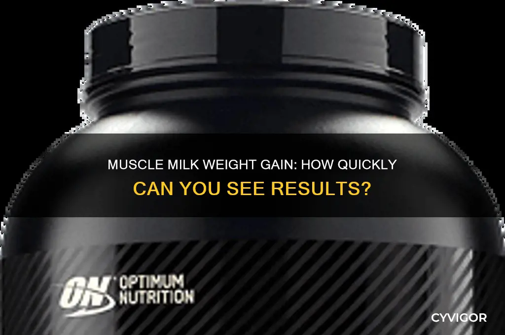 Muscle Milk Weight Gain: How Quickly Can You See Results? | CyVigor