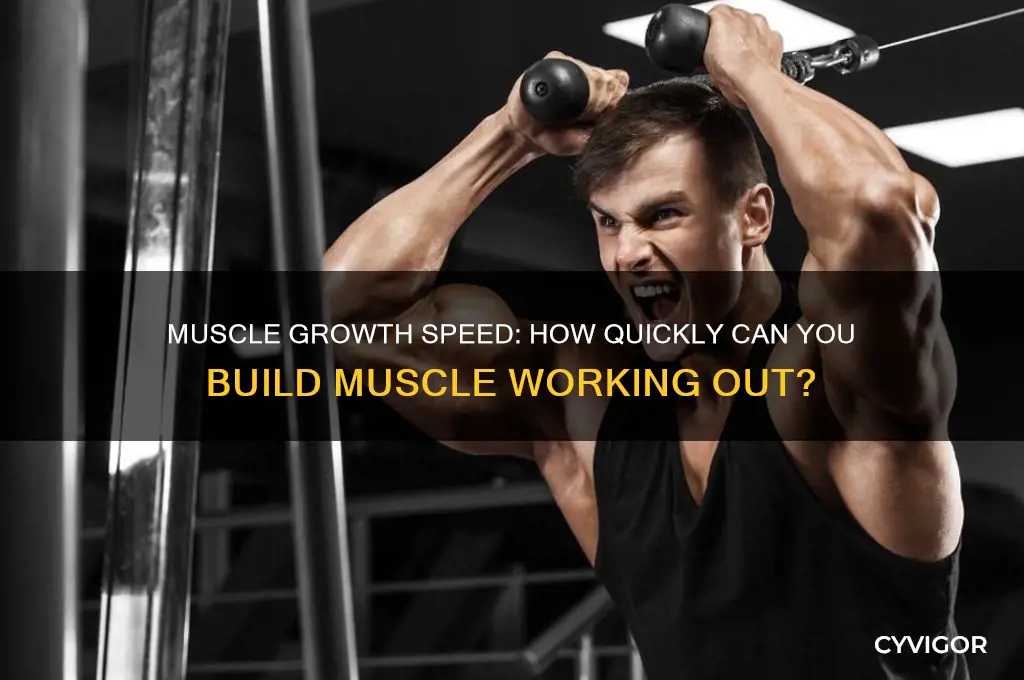 Muscle Growth Speed: How Quickly Can You Build Muscle Working Out ...
