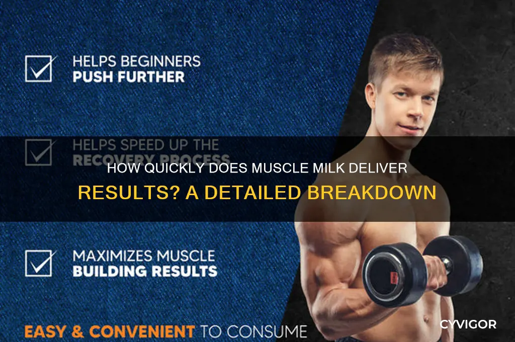 How Quickly Does Muscle Milk Deliver Results? A Detailed Breakdown ...