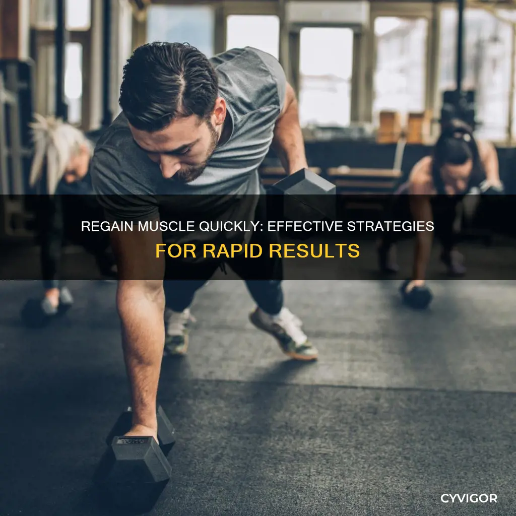 Regain Muscle Quickly: Effective Strategies For Rapid Results | CyVigor