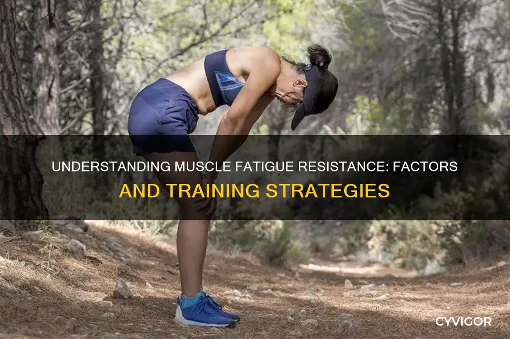 Understanding Muscle Fatigue Resistance: Factors And Training ...