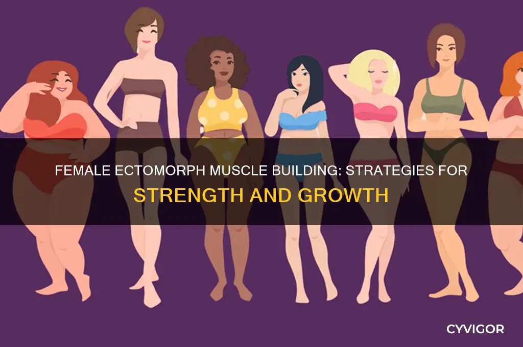 Female Ectomorph Muscle Building: Strategies For Strength And Growth ...