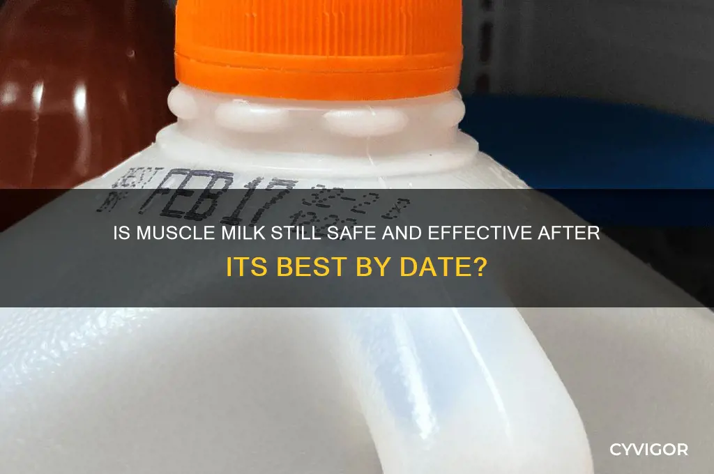 Is Muscle Milk Still Safe And Effective After Its Best By Date? | CyVigor