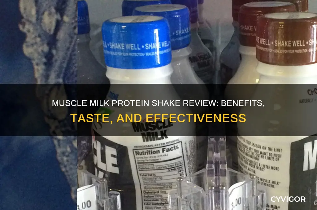 Muscle Milk Protein Shake Review: Benefits, Taste, And Effectiveness ...
