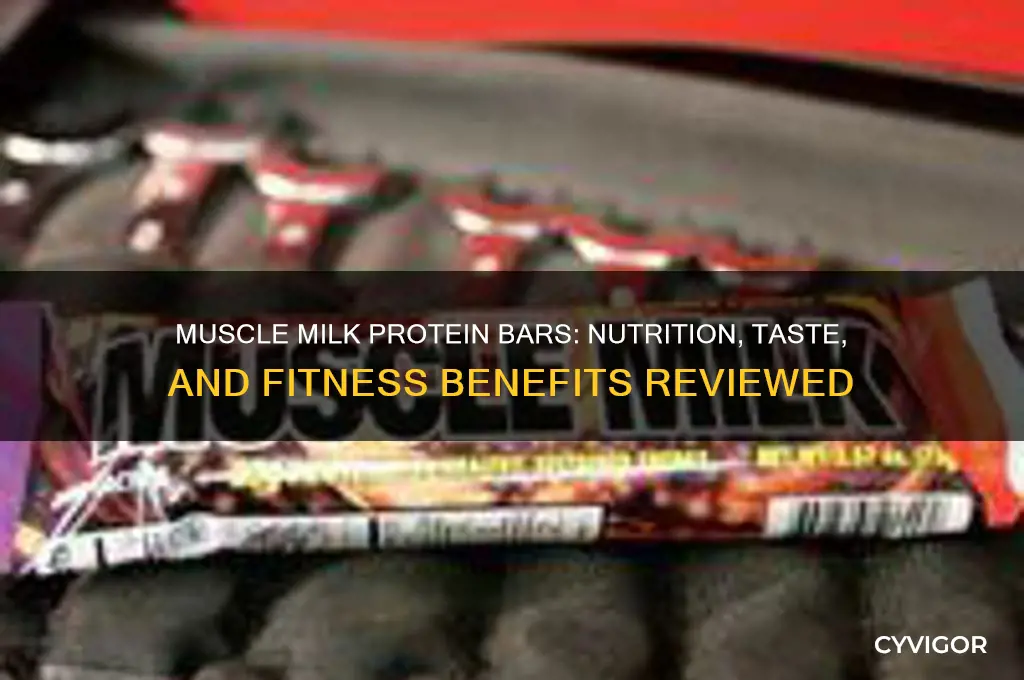 Muscle Milk Protein Bars: Nutrition, Taste, And Fitness Benefits ...