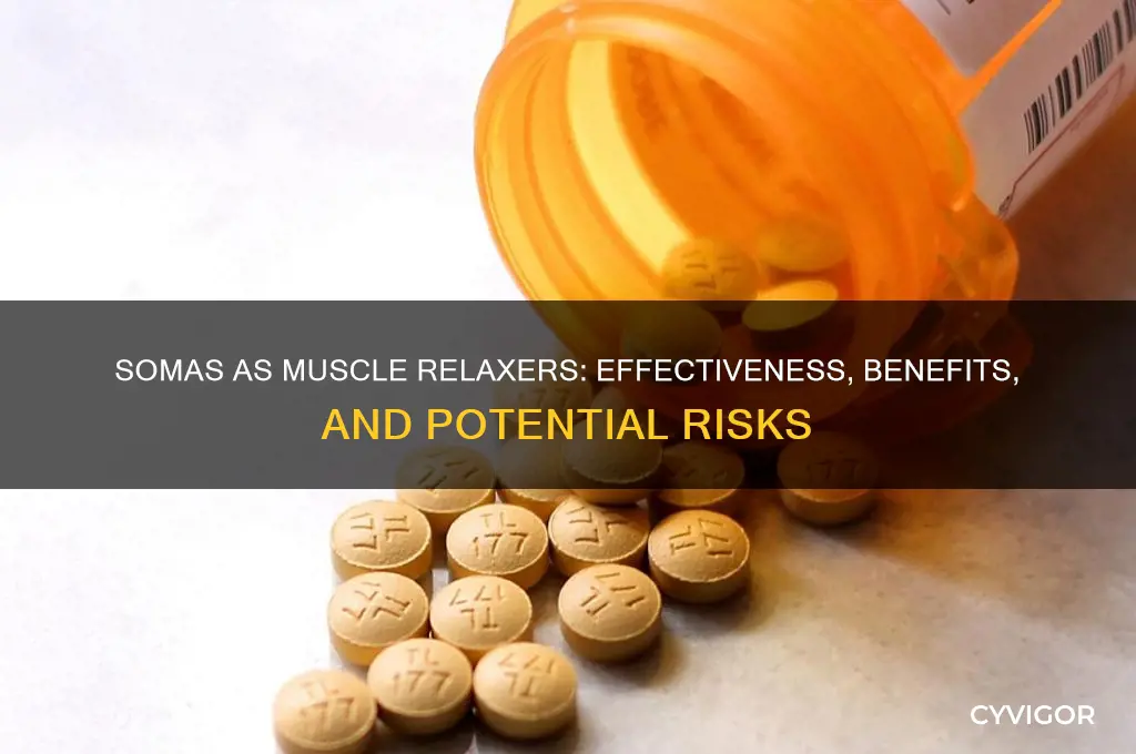 Somas As Muscle Relaxers: Effectiveness, Benefits, And Potential Risks ...