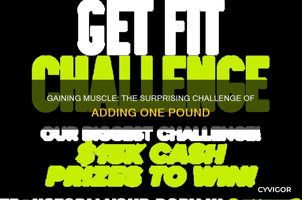 Gaining Muscle: The Surprising Challenge Of Adding One Pound | CyVigor
