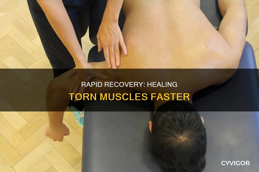 Rapid Recovery: Healing Torn Muscles Faster | CyVigor