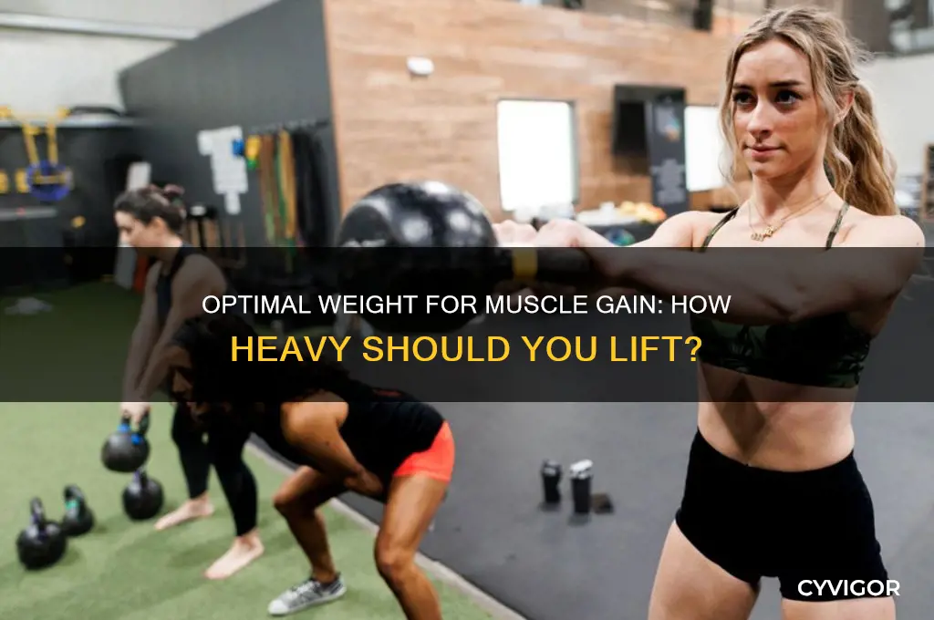 Optimal Weight For Muscle Gain: How Heavy Should You Lift? | CyVigor