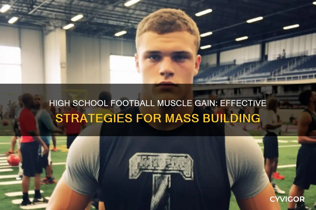 High School Football Muscle Gain: Effective Strategies For Mass ...