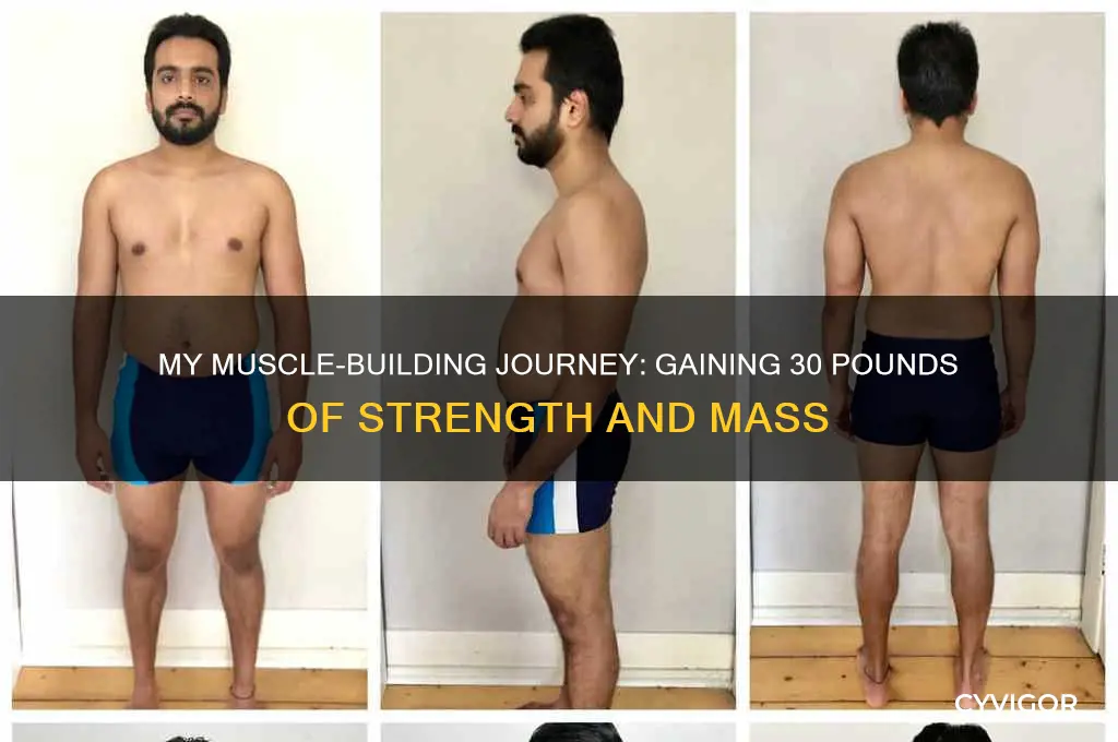 My Muscle-Building Journey: Gaining 30 Pounds Of Strength And Mass ...