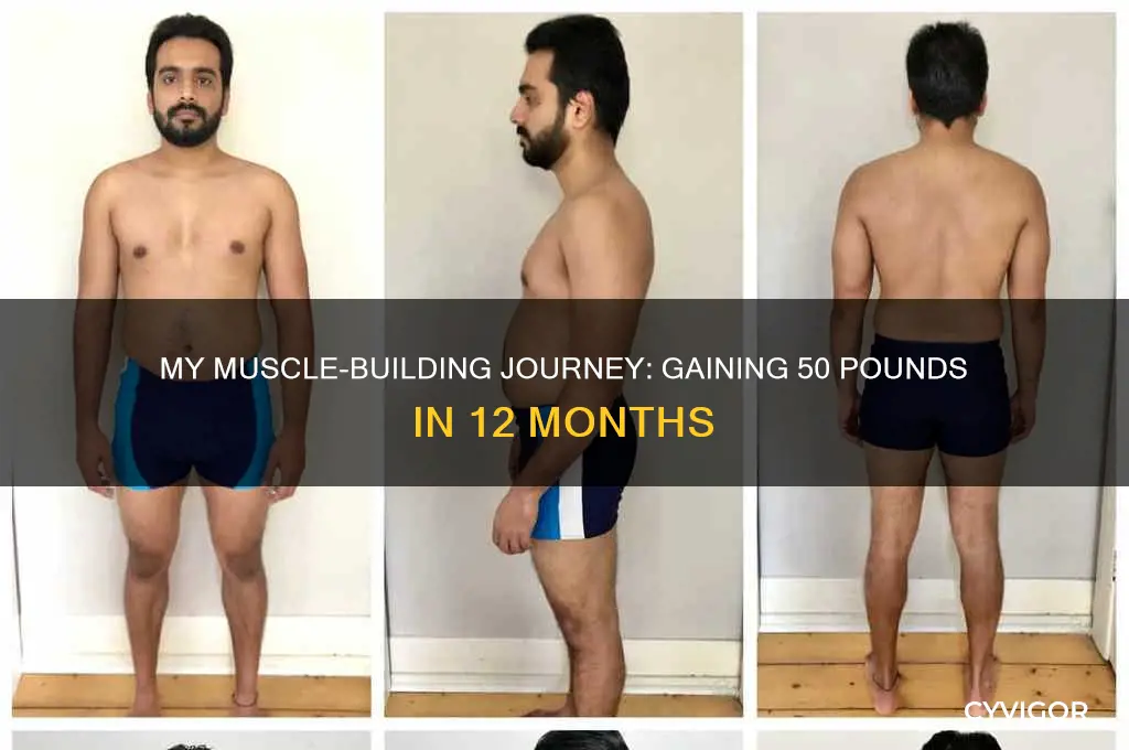 My Muscle-Building Journey: Gaining 50 Pounds In 12 Months | CyVigor