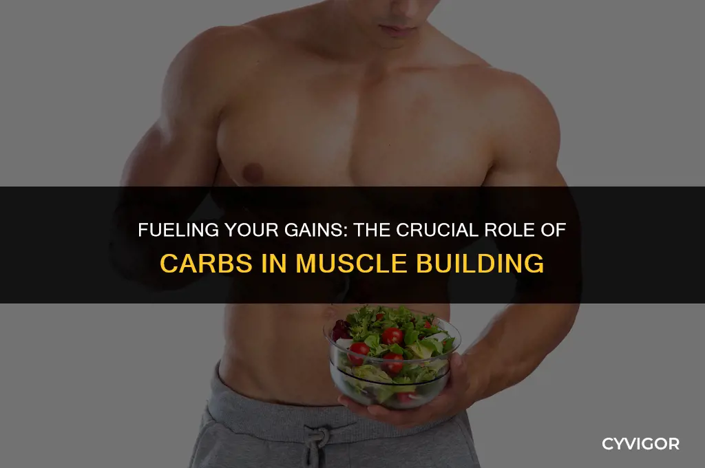 Fueling Your Gains: The Crucial Role Of Carbs In Muscle Building | CyVigor