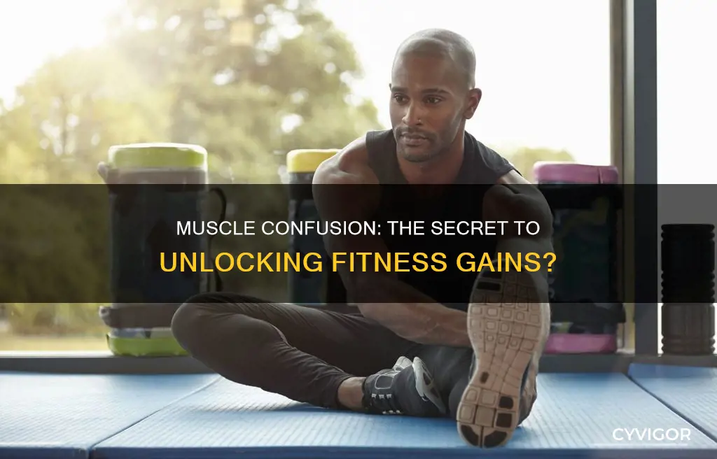 Muscle Confusion: The Secret To Unlocking Fitness Gains? | CyVigor