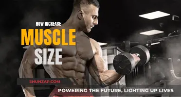 Exploring The Connective Tissue: Muscle To Muscle Attachment | CyVigor