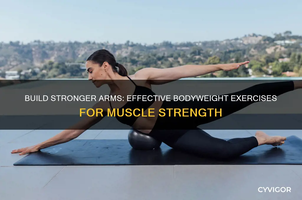 Build Stronger Arms: Effective Bodyweight Exercises For Muscle Strength ...