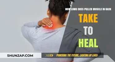 Pulled Abdominal Muscle Recovery Time: What To Expect And How To Heal ...