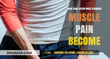 Understanding Arm Muscle Pain Duration: Causes, Relief, And Recovery ...