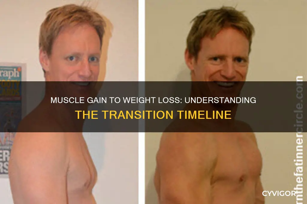 Muscle Gain To Weight Loss: Understanding The Transition Timeline | CyVigor