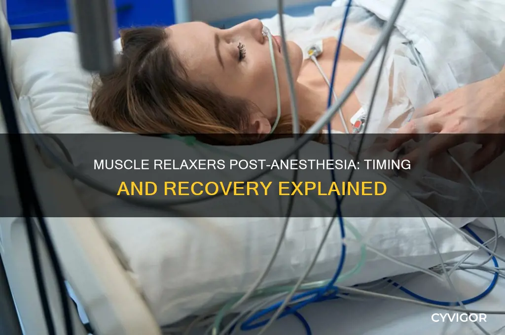 Muscle Relaxers Post-Anesthesia: Timing And Recovery Explained | CyVigor