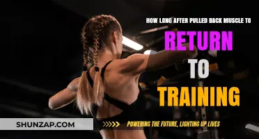 Healing Time For Pulled Lower Back Muscles: What To Expect | CyVigor