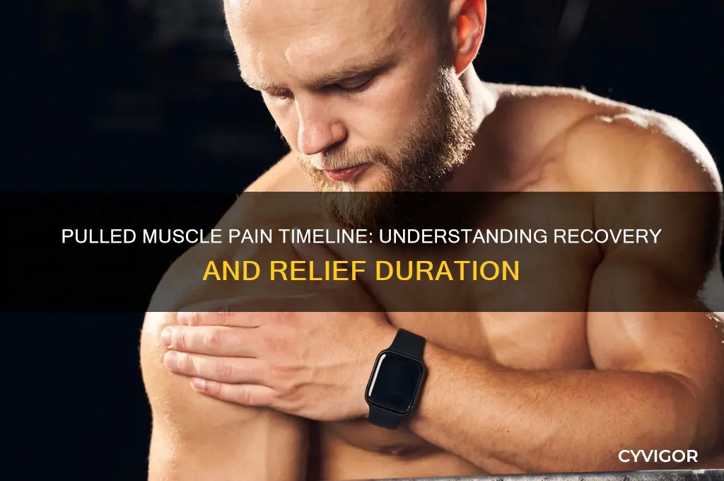 Pulled Muscle Pain Timeline: Understanding Recovery And Relief Duration ...