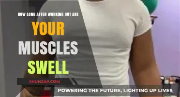 Optimal Muscle Recovery: Rest Time Between Workouts Explained | CyVigor