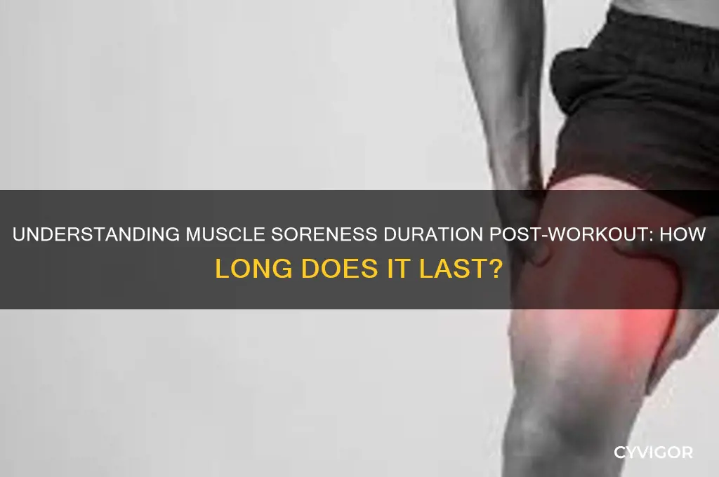 Understanding Muscle Soreness Duration Post-Workout: How Long Does It ...