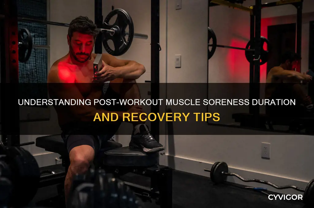 Understanding Post-Workout Muscle Soreness Duration And Recovery Tips ...