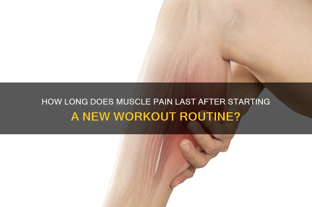 How Long Does Muscle Pain Last After Starting A New Workout Routine ...