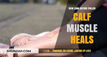 Pulled Abdominal Muscle Recovery Time: What To Expect And How To Heal ...